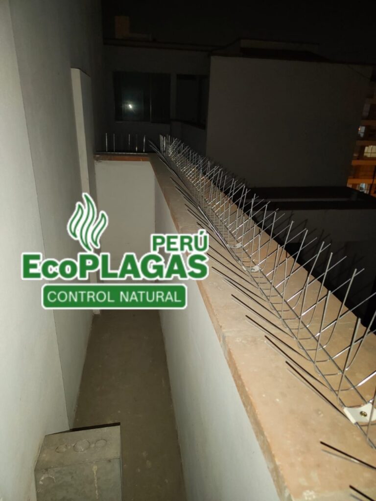 Púas Antipalomas (metro) - EcoPLAGAS Perú