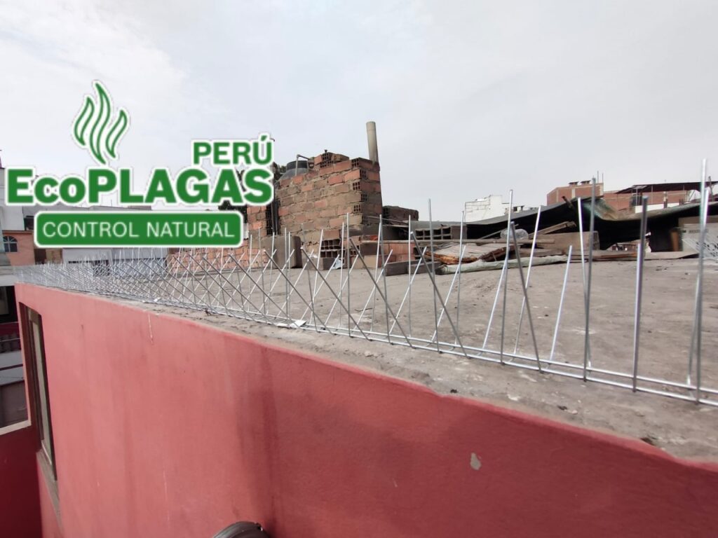 Púas Antipalomas (metro) - EcoPLAGAS Perú